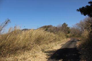 安土山公園と屍人が岳 ～若狭の姥捨て山伝説から桜咲く現代の姿まで【高浜町】 | 福井県伝承浪漫